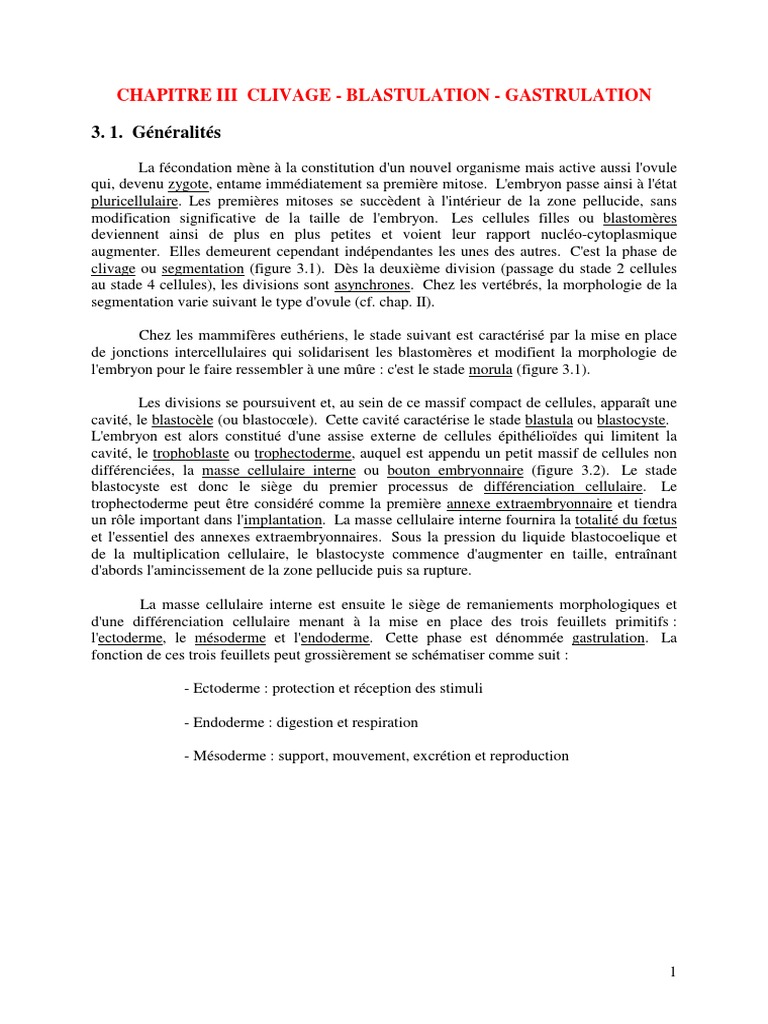 Clivage et Gastrulation de l'Embryon | PDF | Cycle cellulaire | Jumeau