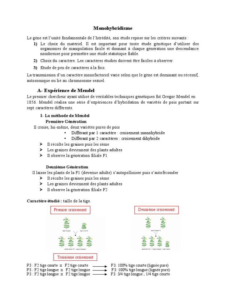 Chapitre 2. Monohybridisme | PDF | Allèle | Génotype