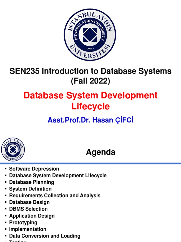 Database Systems Development Lifecycle | PDF | Databases | Data Model