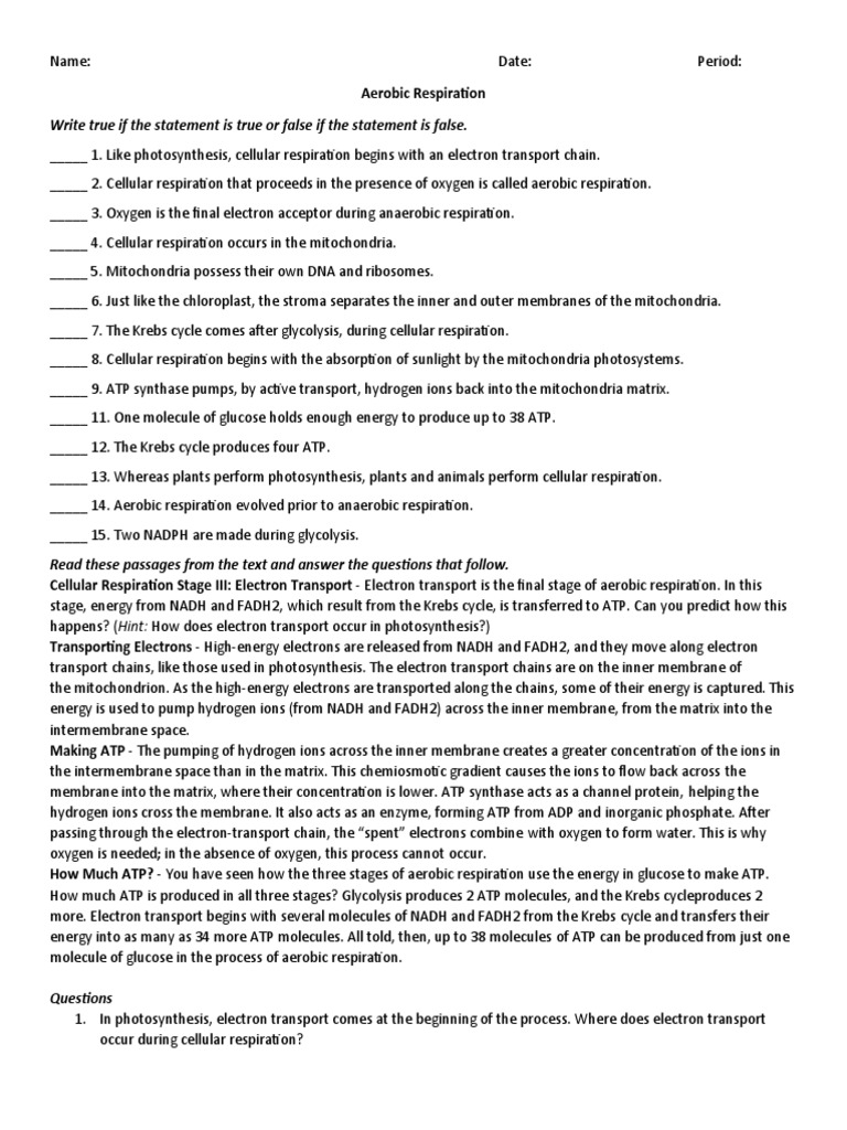 Aerobic Respiration Pdf Cellular Respiration Adenosine Triphosphate