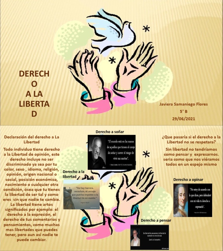 Derecho a La Libertad | PDF