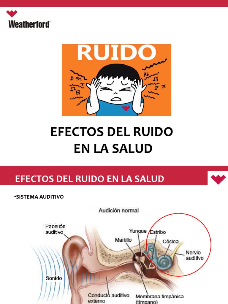 Efectos Del Ruido en La Salud | PDF