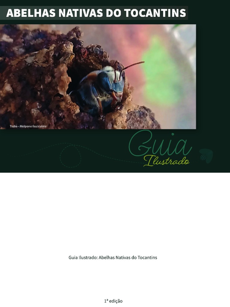 Guia Ilustrado Abelhas Nativas Do Tocantins | PDF