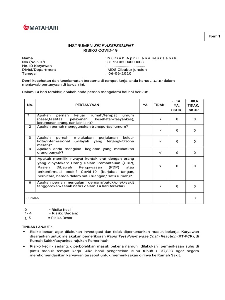 FORM 1 - Self Assessment - Karyawan-1 | PDF