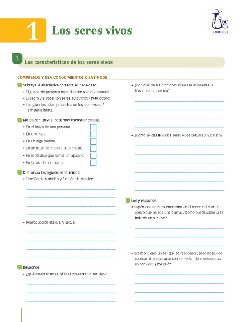 01 Tarea - Caracteristicas de Los Seres Vivos 1ro Sec | PDF | Plantas ...