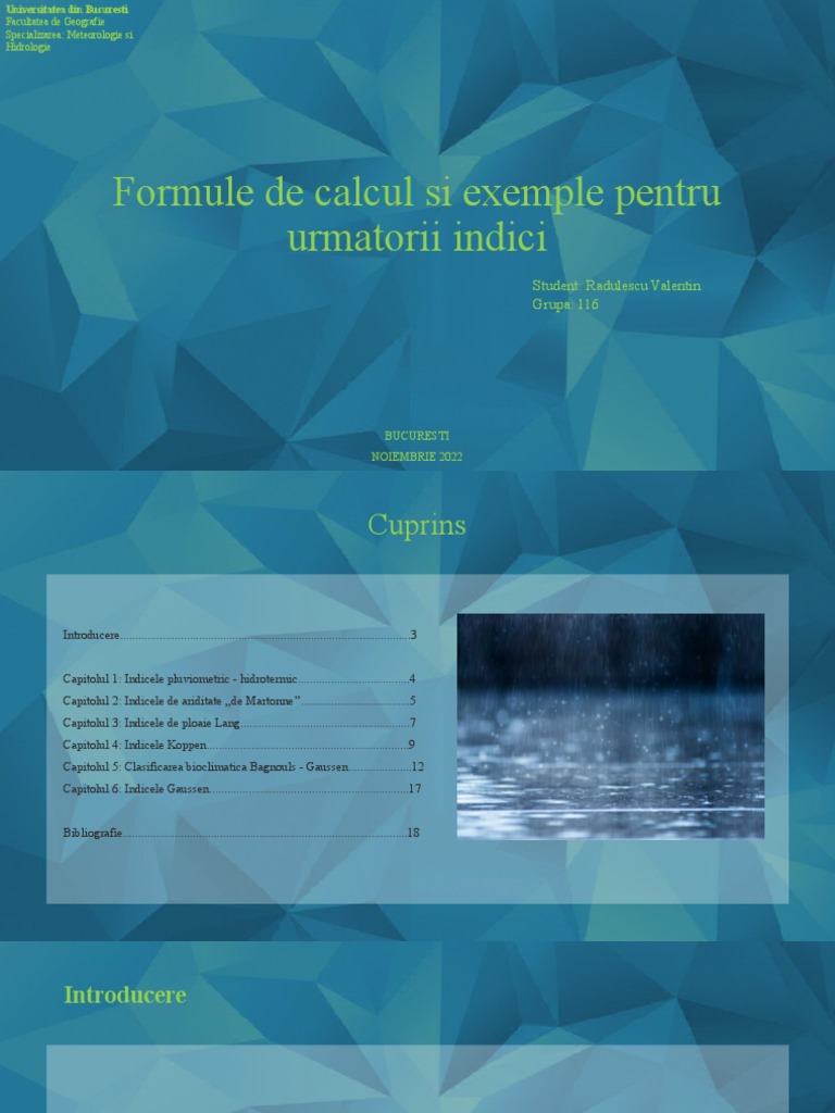 Formule de Calcul Si Exemple Pentru Urmatorii Indici | PDF