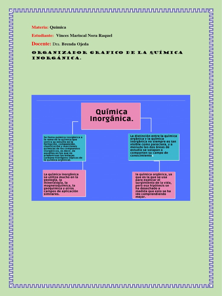 Organizador Grafico | PDF