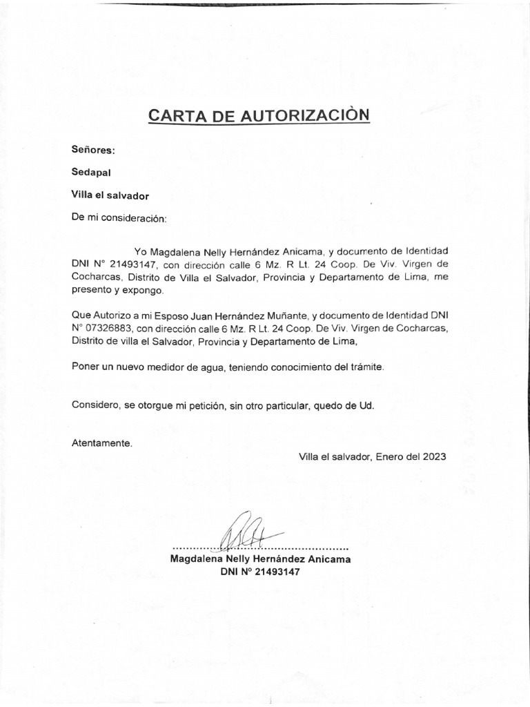 Carta de Autorizacion | PDF