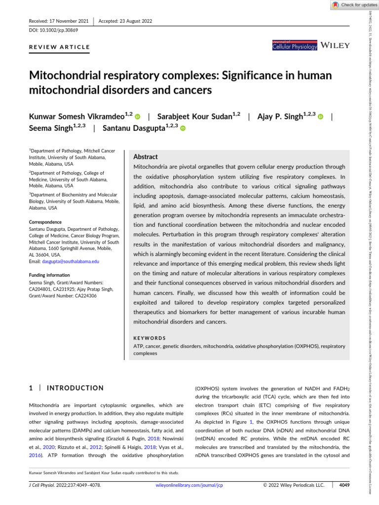 Mitochondrial Respiratory Complexes | PDF | Electron Transport Chain | Mitochondrion