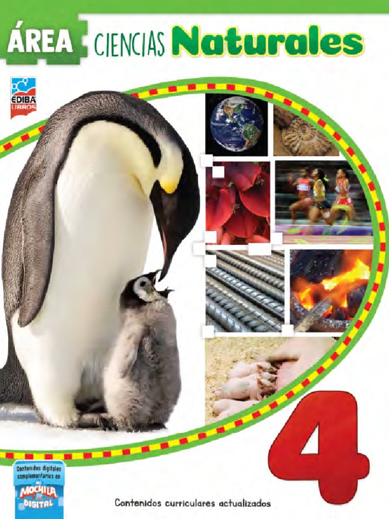 Ciencias Naturales 4 Grado | PDF