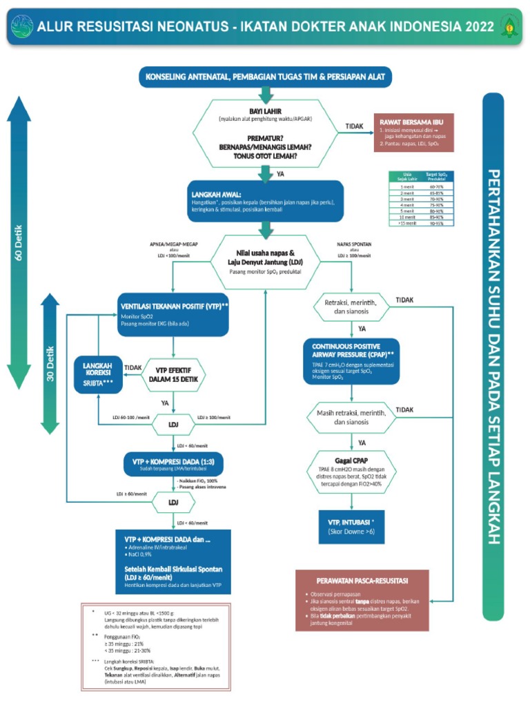 Alur Resusitasi Neonatus IDAI 2022 (Recovered) | PDF