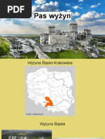 mapa polski z podziałem na niziny wyżyny góry - Szukaj w Google | PDF