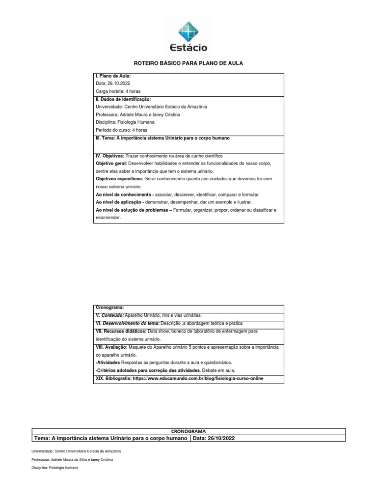 Roteiro Bã¡sico para Plano de Aula PDF | PDF