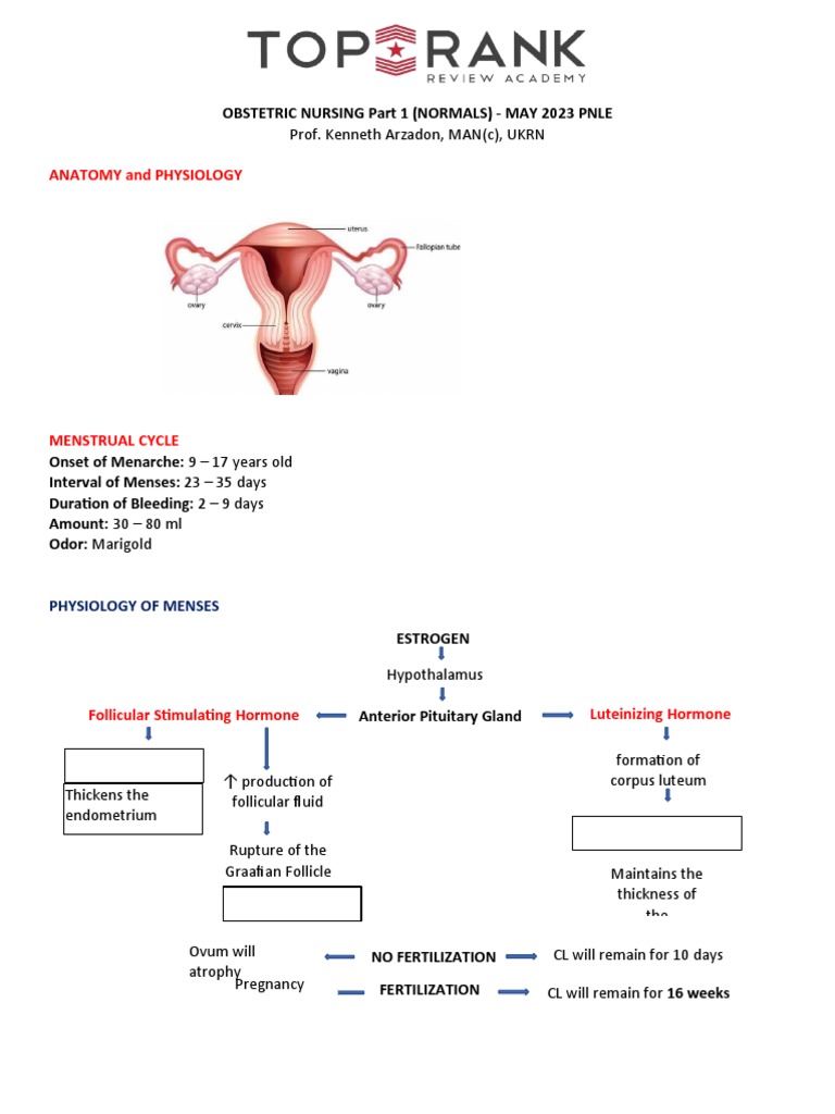 Revised OB Handout Part 1 MAY 2023 PNLE Refresher | PDF | Menstrual ...