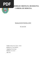Pene de Perro - Anatomía, Características y Enfermedades | PDF | Pene ...