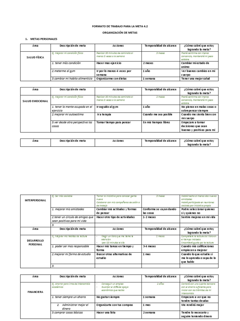 Formato de Metas Personales y Profesionales | PDF | Relaciones personales, crianza y desarrollo ...