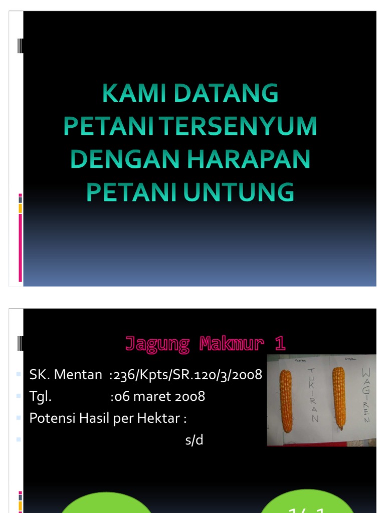 Jagung Makmur 1 | PDF