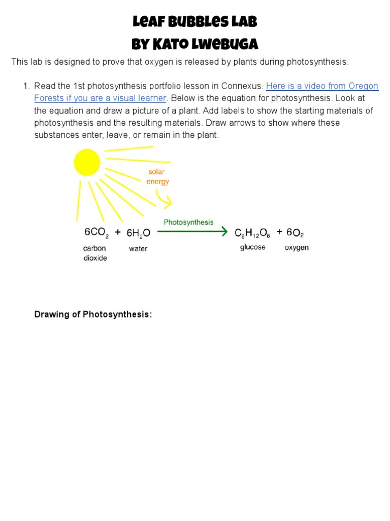 Leaf Bubbles Lab by Kato Lwebuga: Here Is A Video From Oregon Forests If You Are A Visual ...