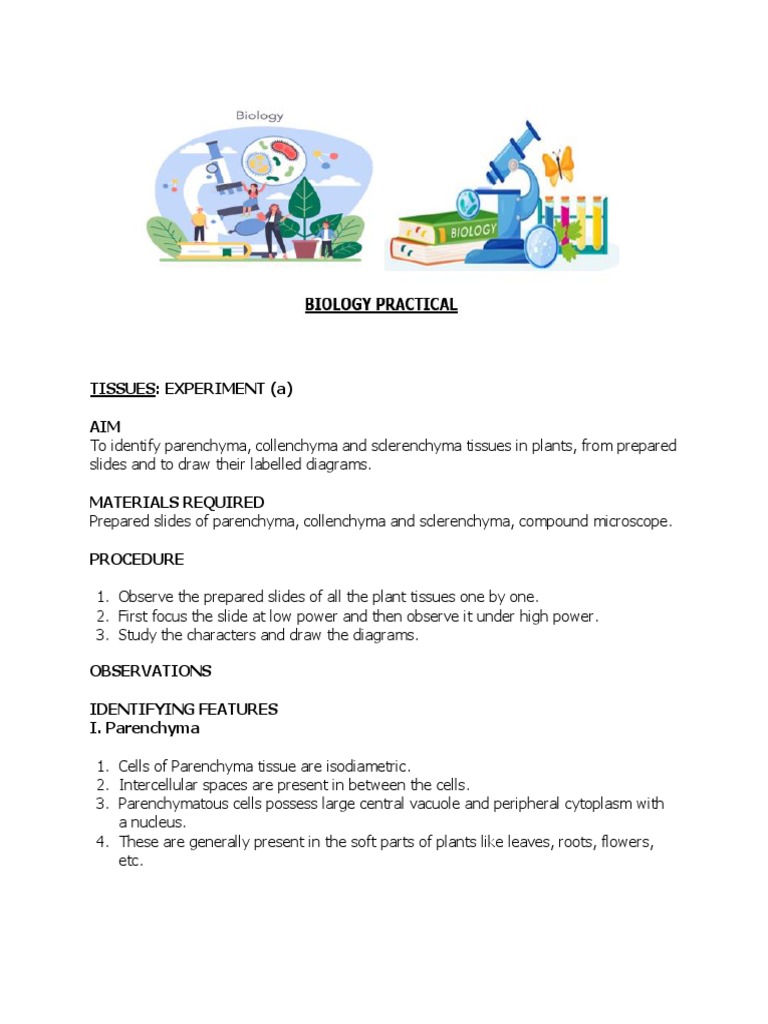Class IX Practicals TISSUES | PDF | Tissue (Biology) | Axon