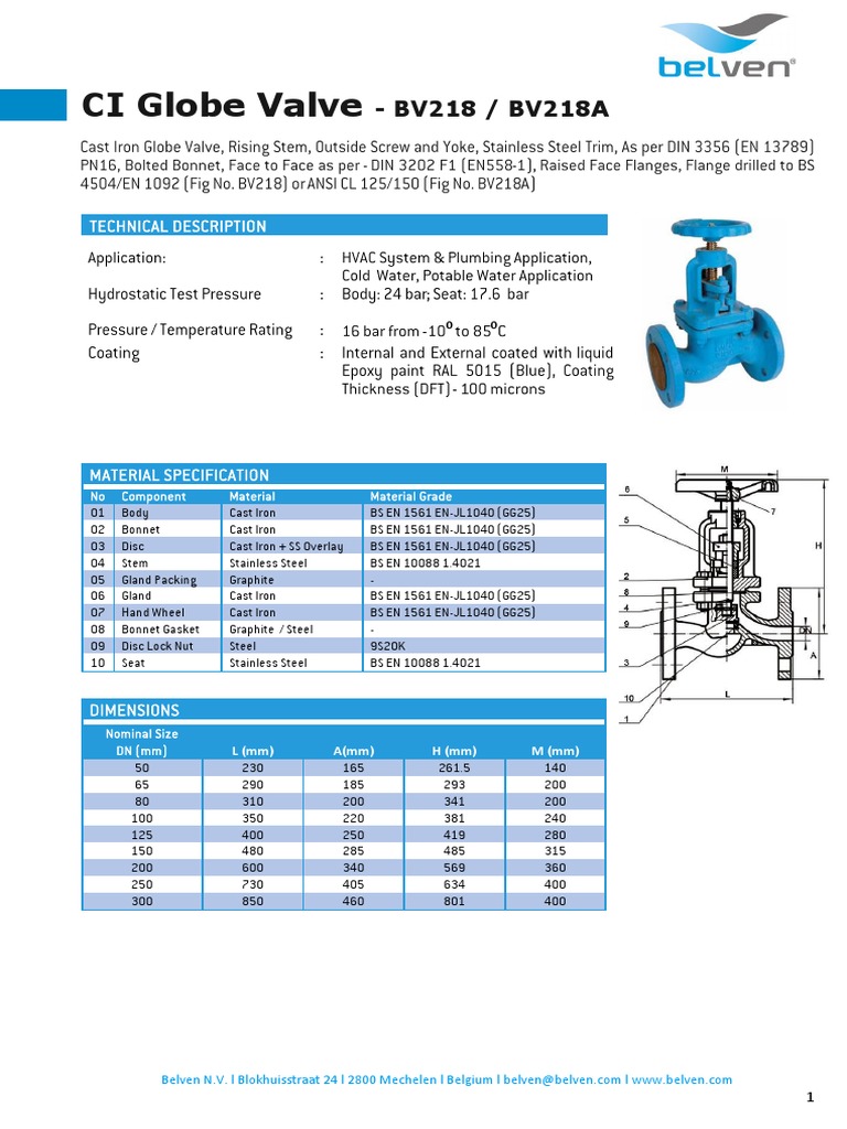 BV218 CI Globe Valve | PDF
