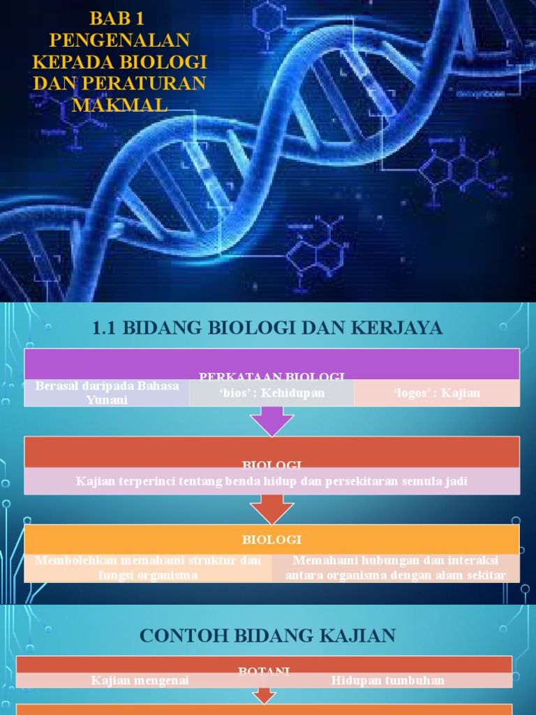Bio Bab1 F4 | PDF