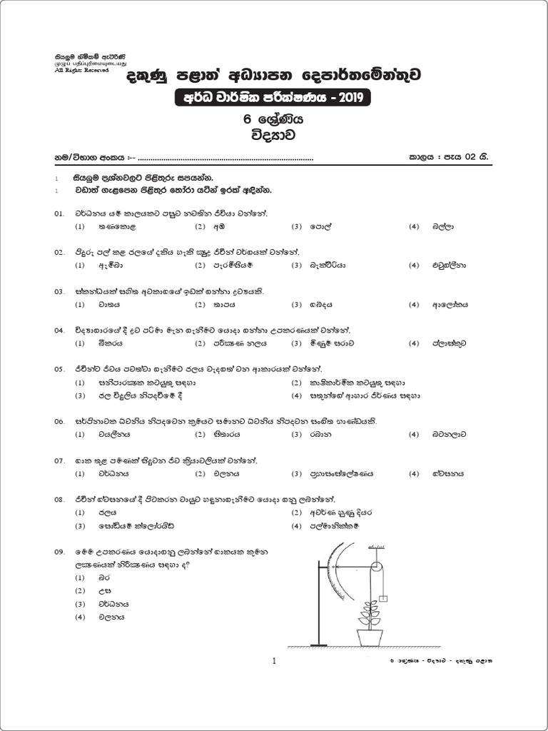 Grade 06 Science 2nd Term Test Paper With Answers 2019 Sinhala Medium ...