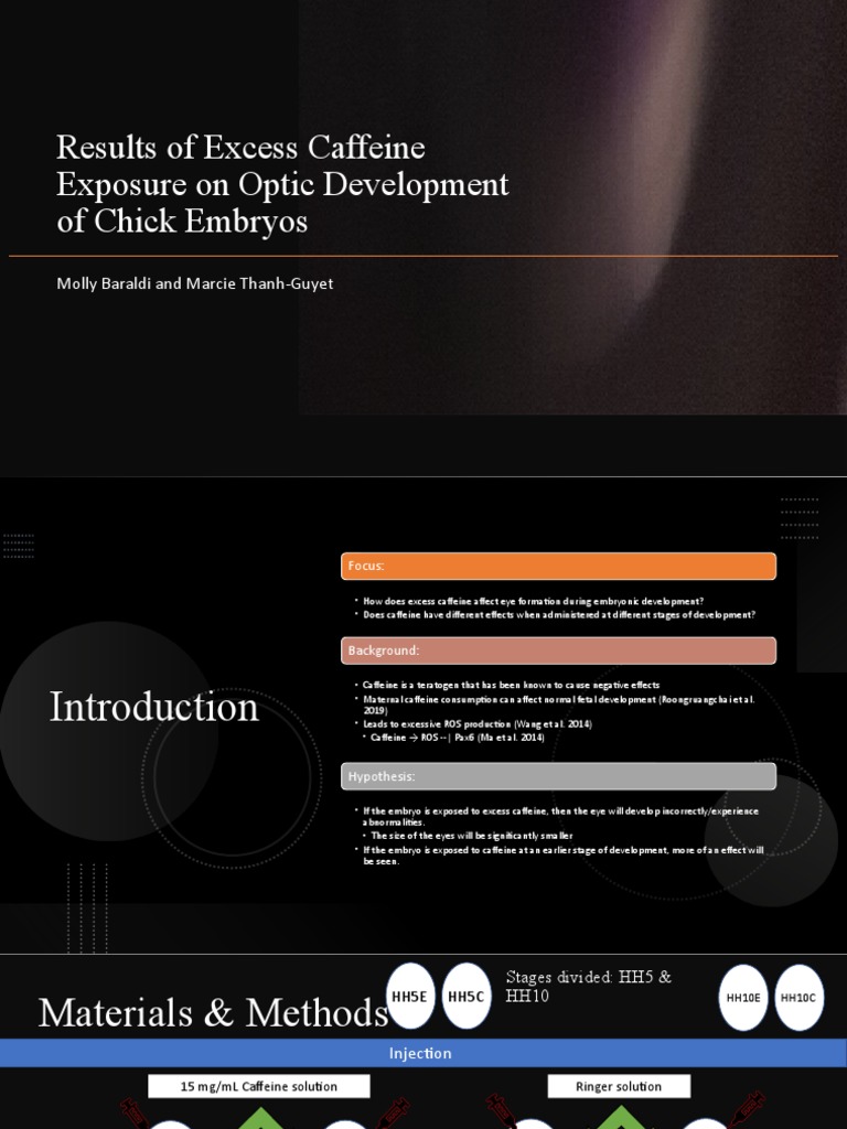 Chick Lab Presentation | PDF | Clinical Medicine | Life Sciences