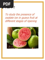 Class 12th Chemistry Project On Investigatory Test On Guava | PDF ...