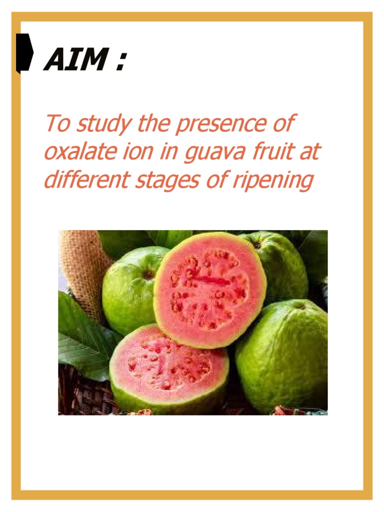 To Study The Presence of Oxalate Ion in Guava Fruit at Different Stages ...
