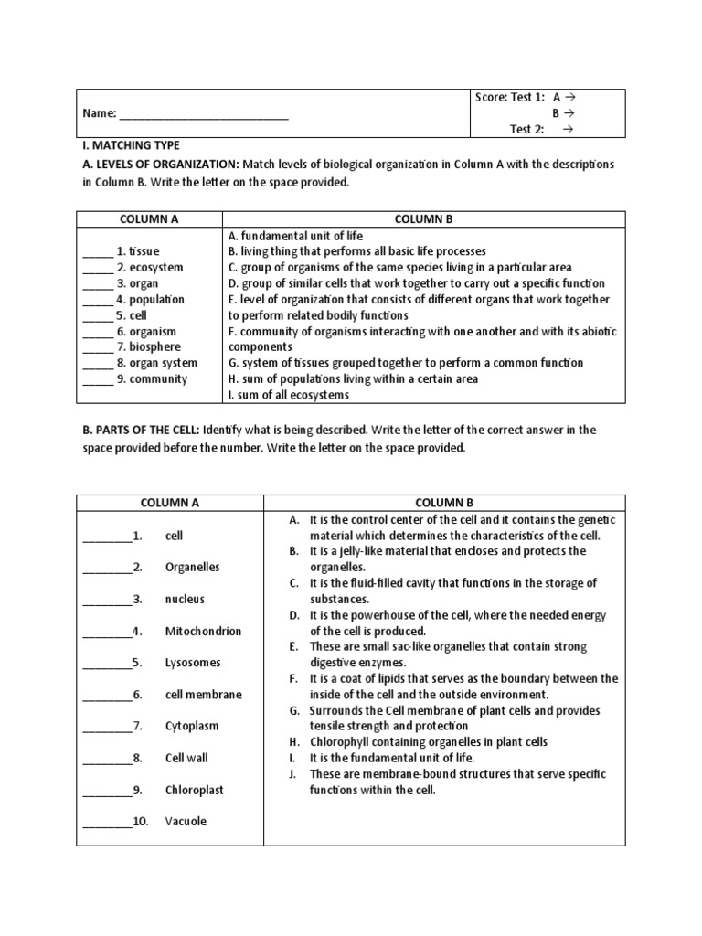 Long Test g7 | PDF | Cell (Biology) | Organelle
