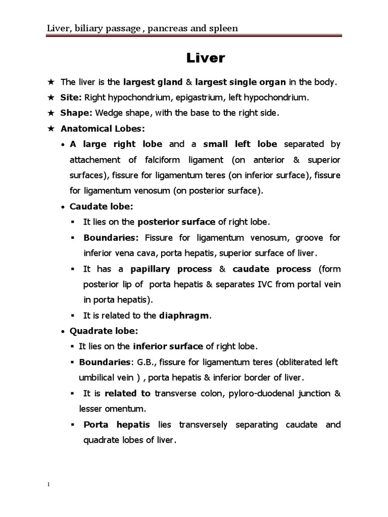 Liver and Pancreas Anatomy Overview | PDF | Liver | Pancreas