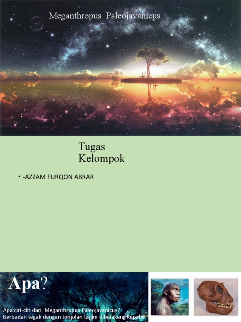 Meganthropus Paleojavanicus: Fosil Manusia Purba dari Jawa | PDF | Ilmu ...