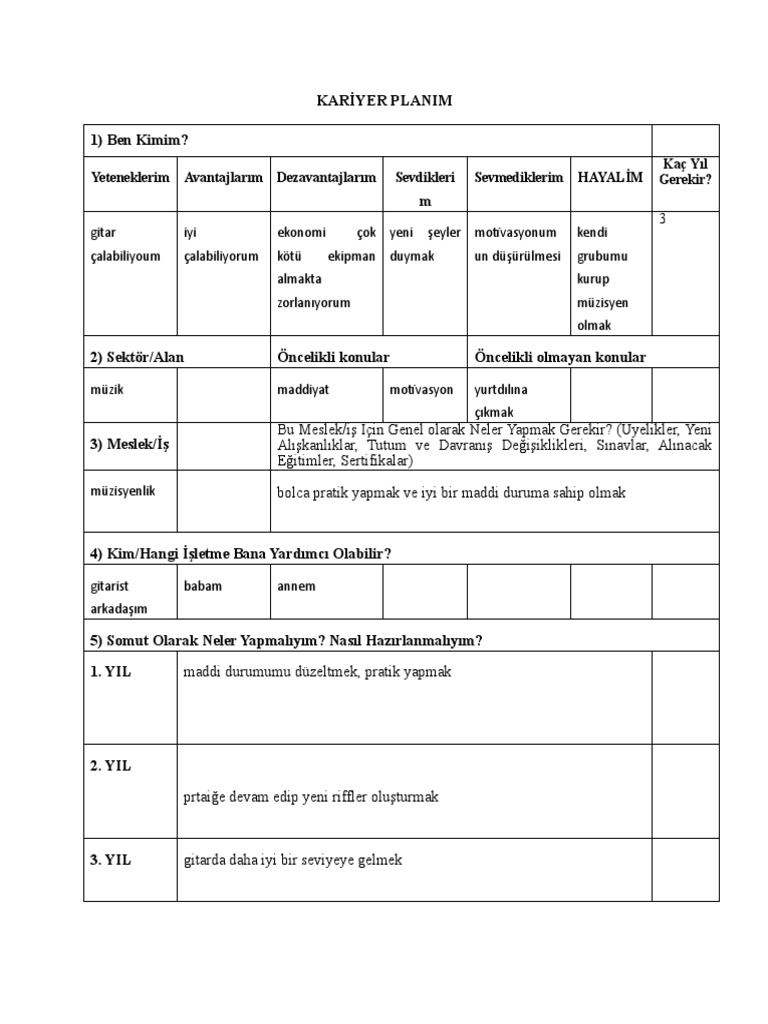 Kişisel Kariyer Planı Şablonu-1 | PDF