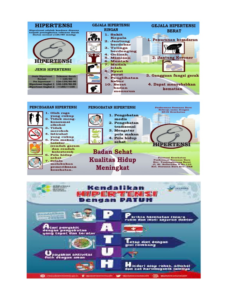 Materi Prolanis HIpertensi Dan Diabetes Melitus | PDF
