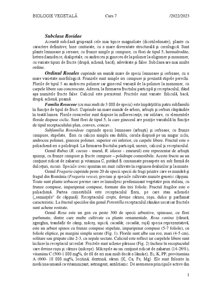 Curs 7 - BV - Ian - 2023 | PDF