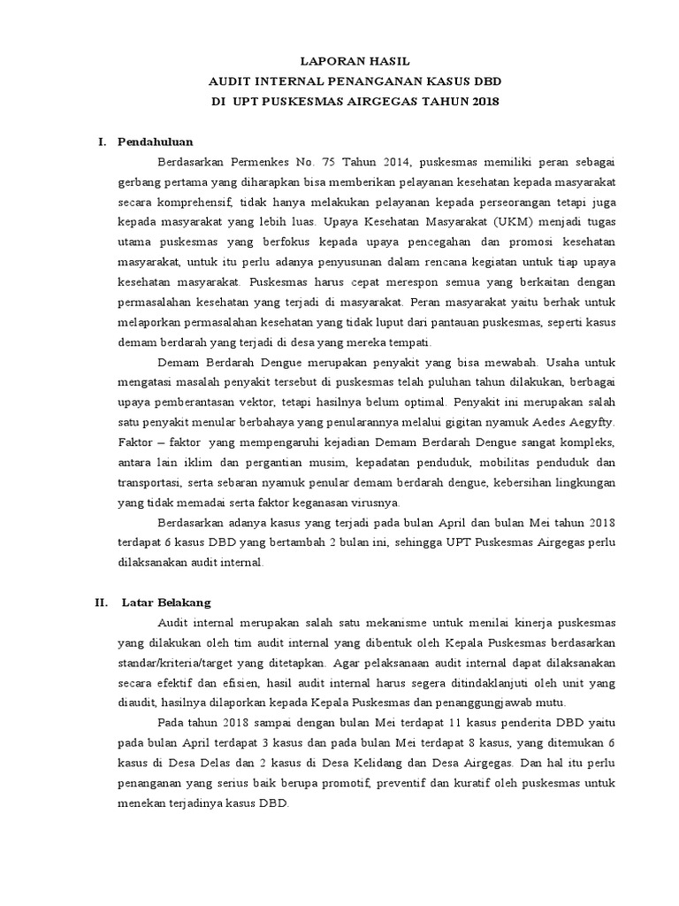 Laporan Hasil Audit DBD Osien | PDF