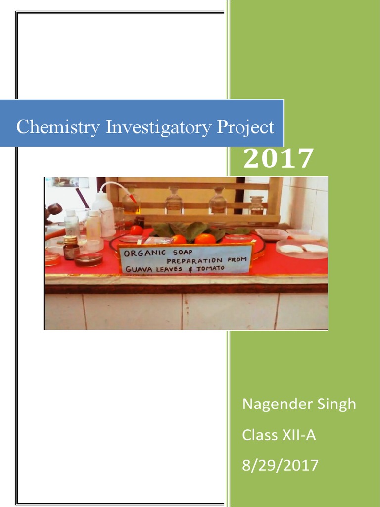 Organic Soap Preparation Project Report | PDF | Sodium Hydroxide | Soap