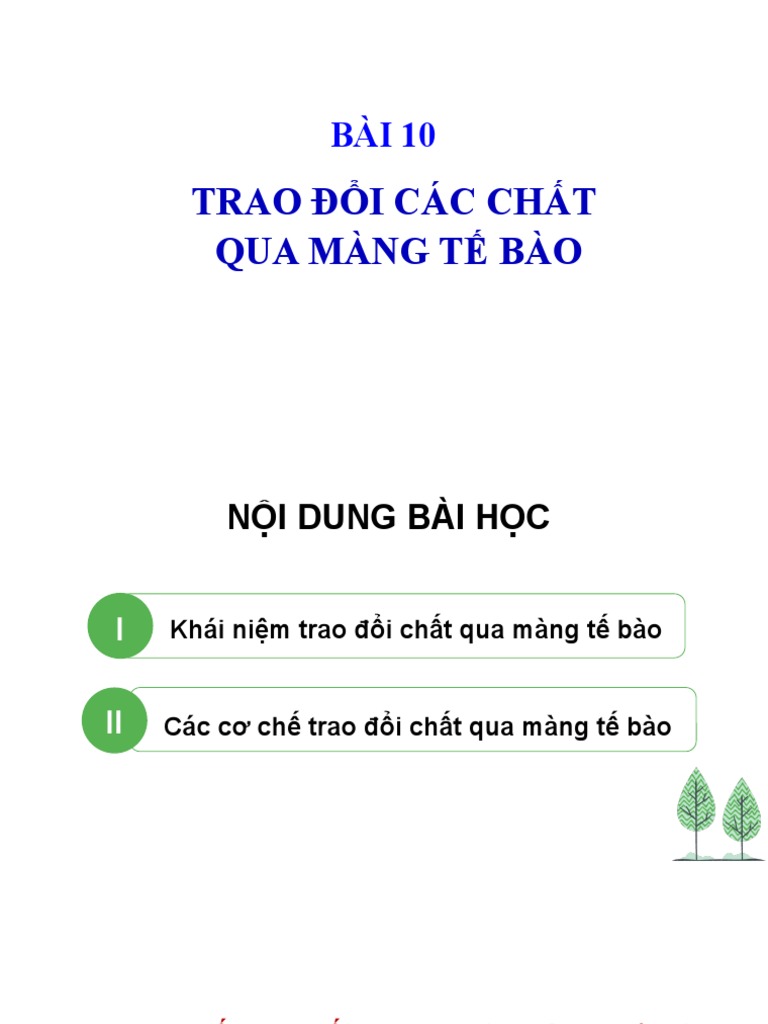 Bai 10 Trao Doi Chat Qua Mang Te Bao 1 | PDF
