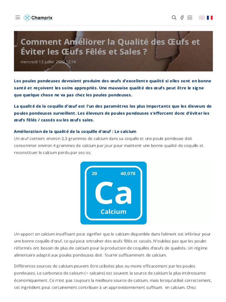 Améliorer la qualité des œufs facilement | PDF | Calcium | Poulet