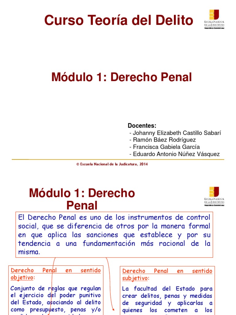 Teoria Del Delito | PDF | Derecho penal | Castigos
