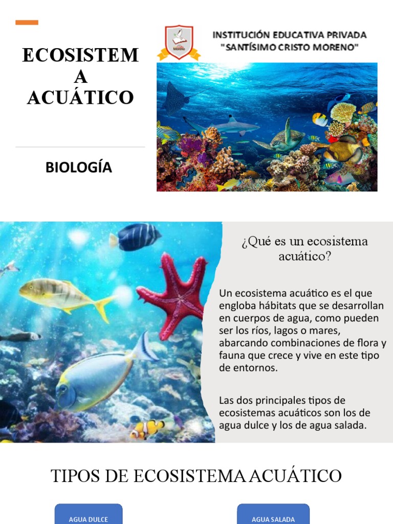 Ecosistema Acuático ... | PDF | Agua dulce | Ecosistema