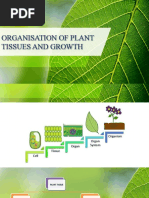 Grade 10 Plant Tissues & Organs Notes | PDF