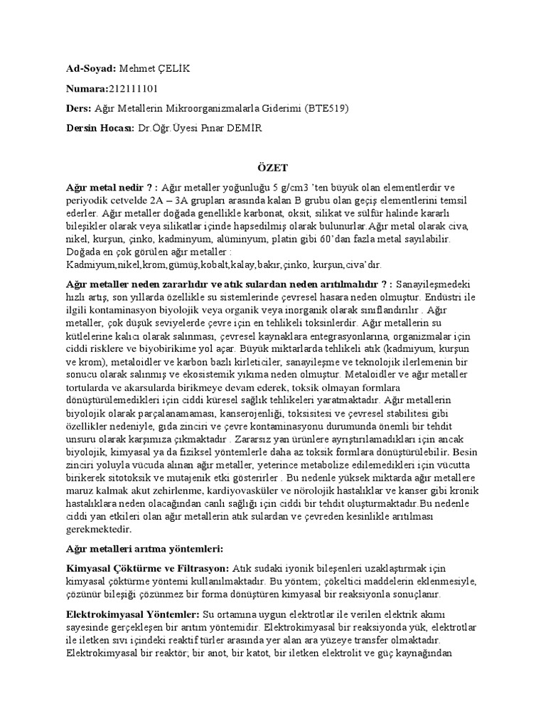 Çeviri Makale | PDF