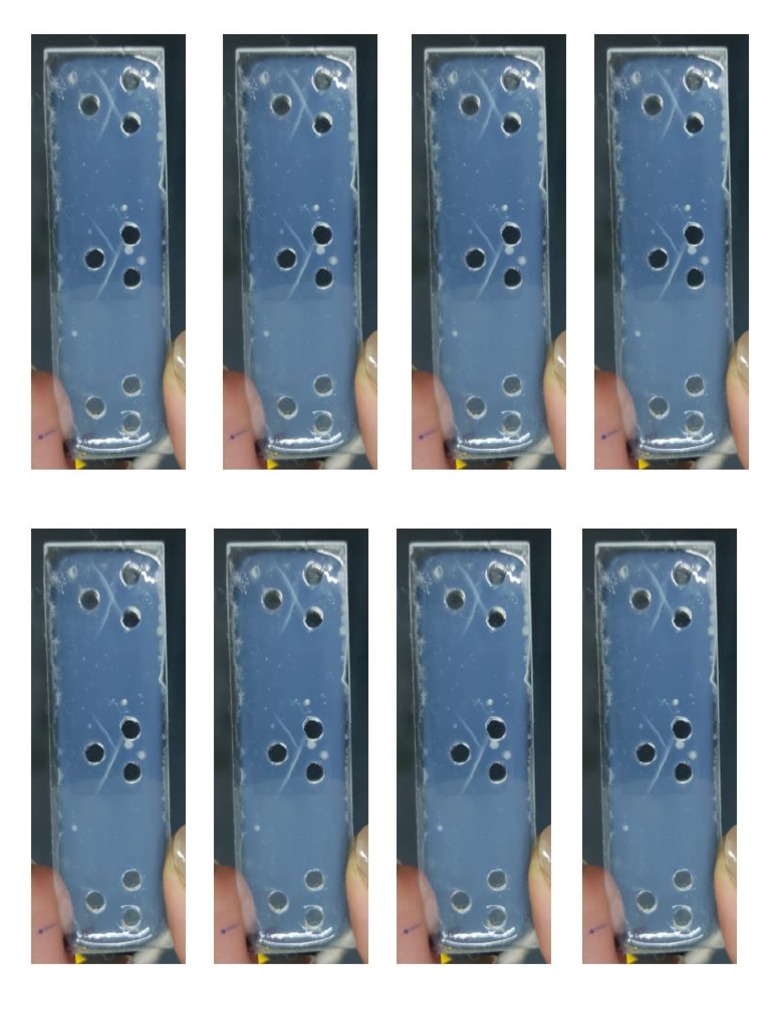 Double Diffusion Pdf