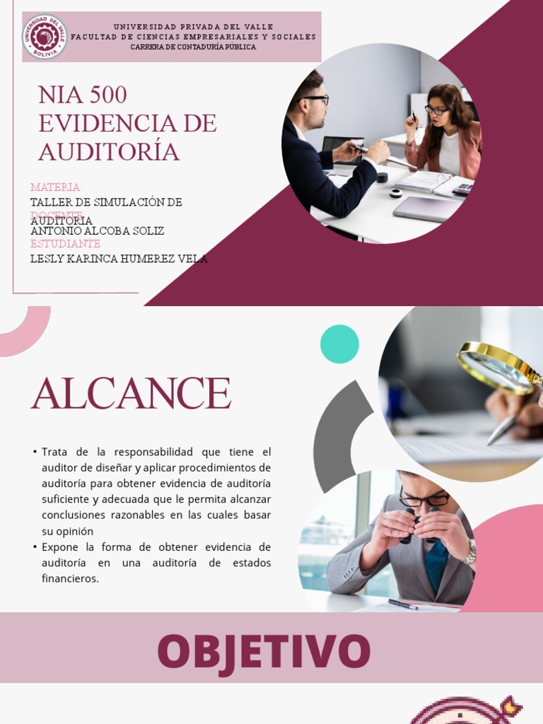 Nia 500 | PDF | Auditoría | Contralor