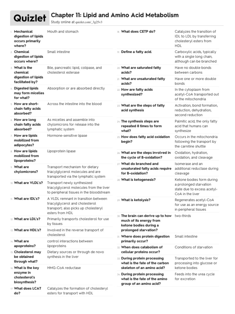 Quizlet MCAT Lipid and AA Metabolism | PDF | Lipoprotein | Cholesterol