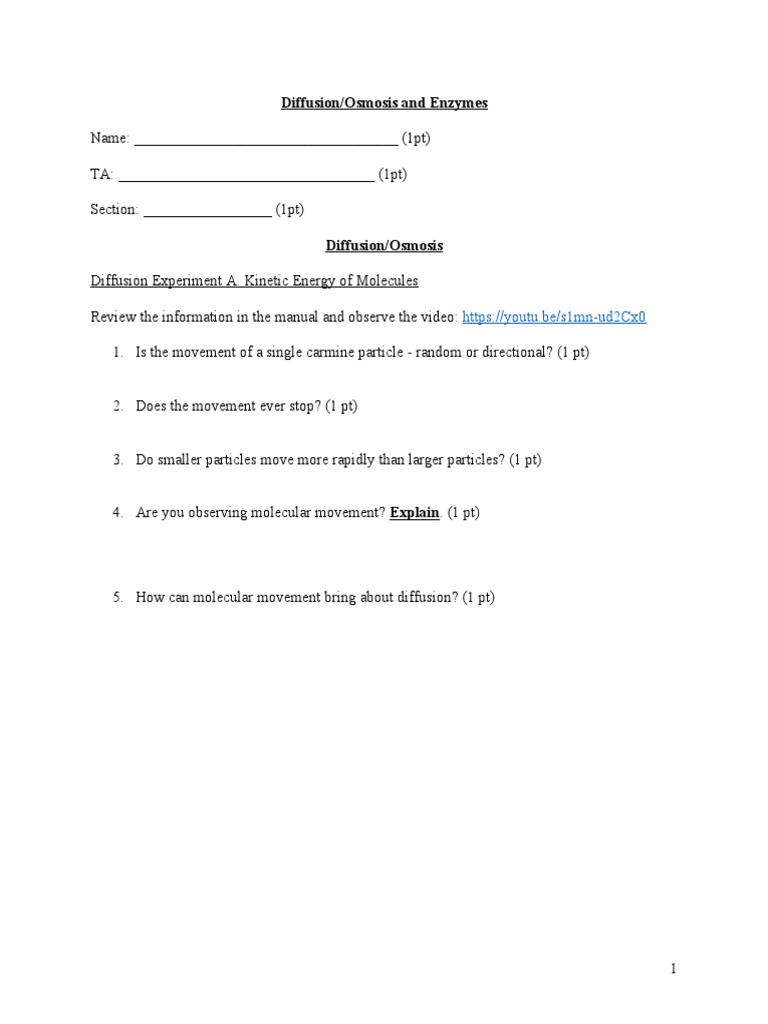 Diffusion Enzyme F22 Worksheet | PDF | Catalase | Osmosis