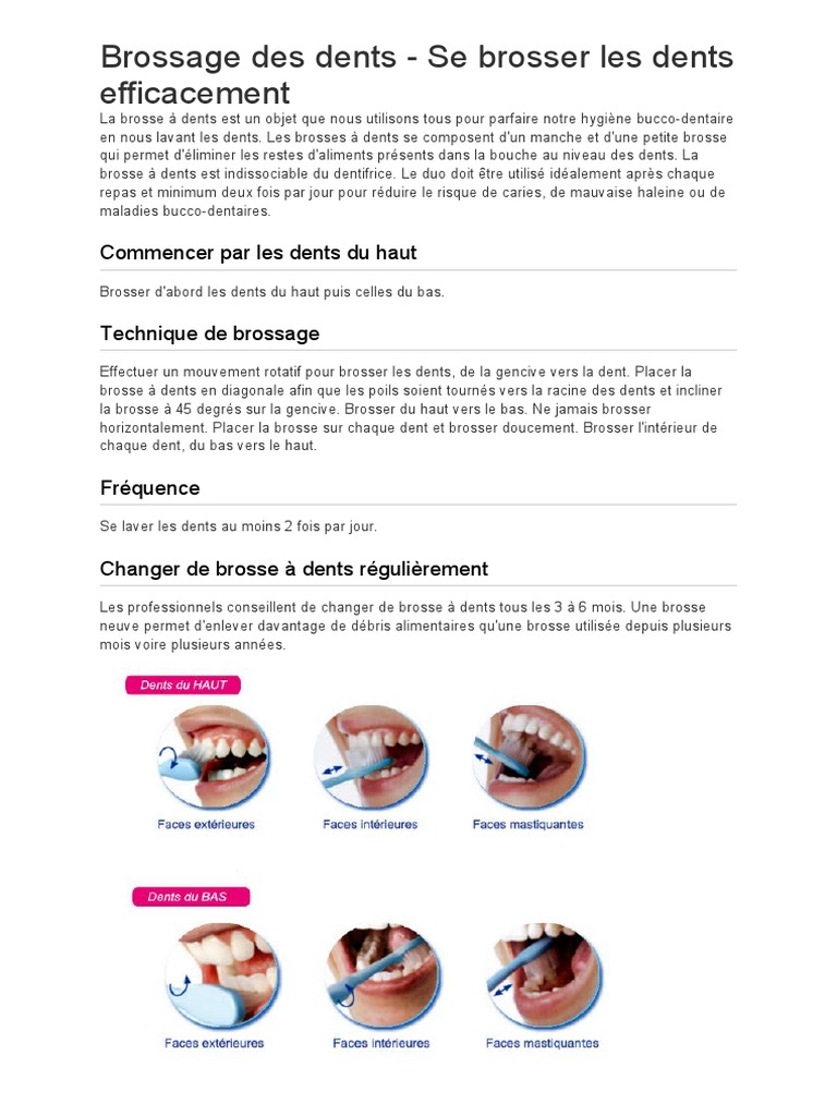 Techniques de Brossage des Dents | PDF