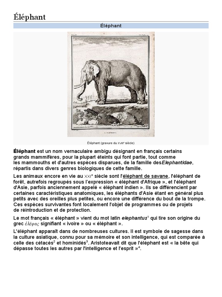 Éléphant | PDF