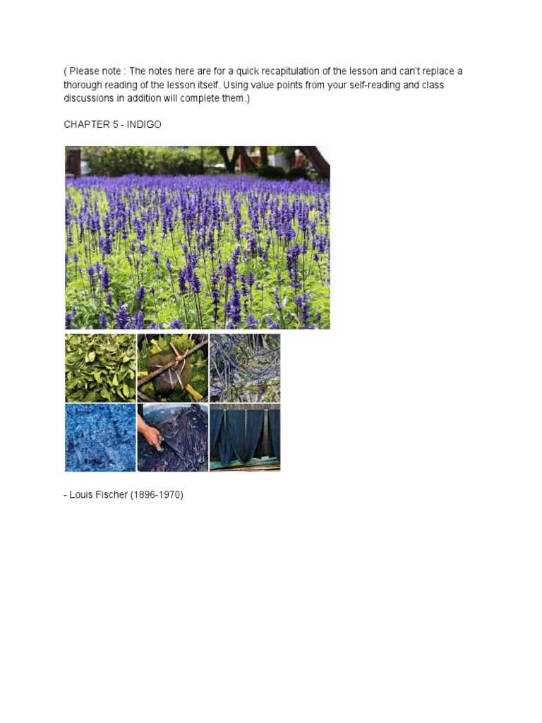 Indigo - Notes, Assignments | PDF | Mahatma Gandhi | Civil Disobedience